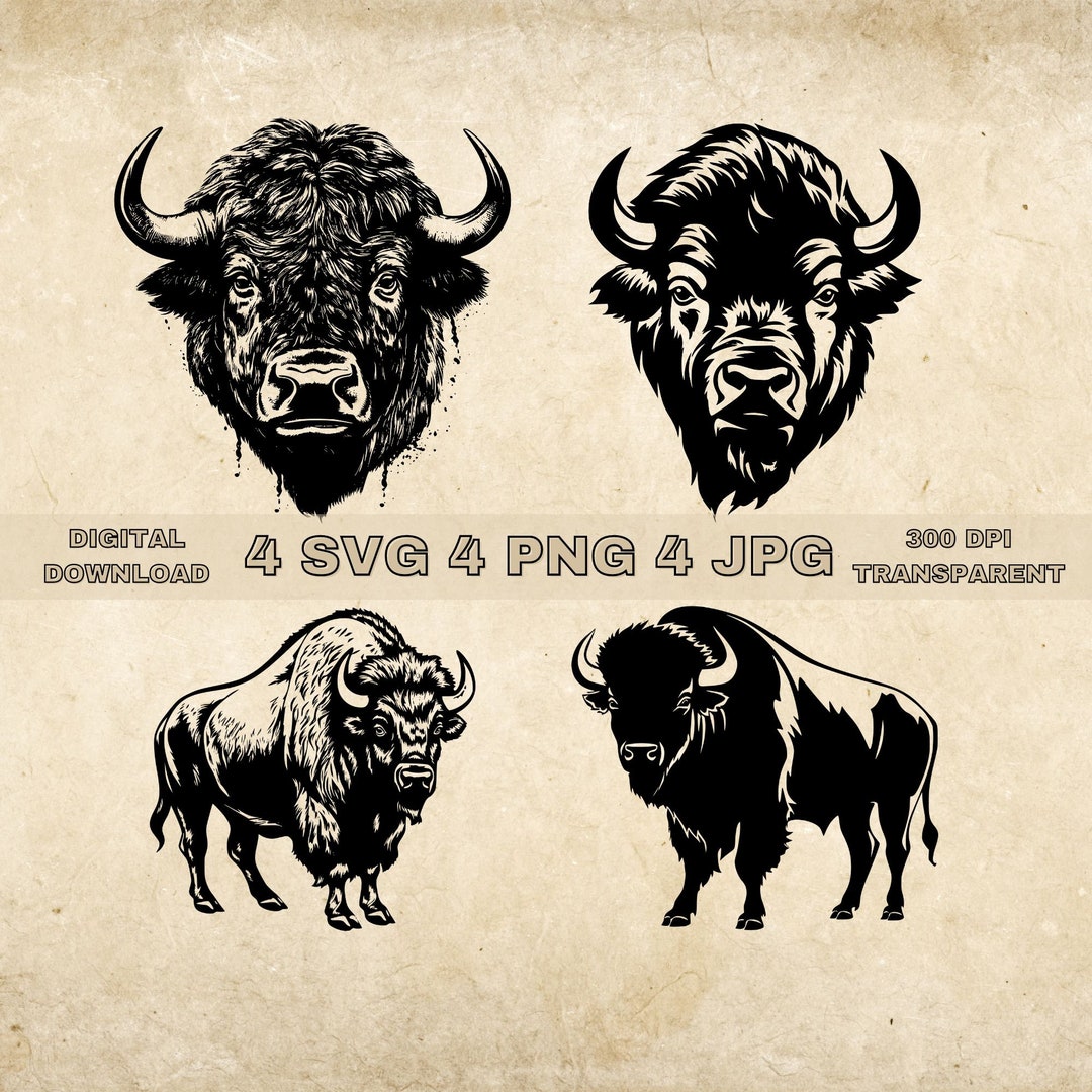 Buffalo SVG Bundle, PNG, Buffaloes Clipart, Hand Drawn Buffalo Vector ...