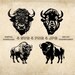 Buffalo SVG Bundle, PNG, Buffaloes Clipart, Hand Drawn Buffalo Vector ...