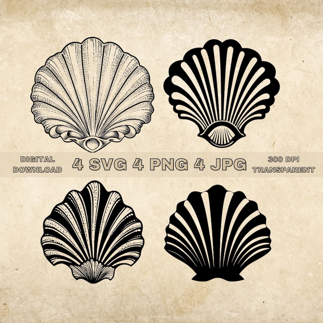 Seashell SVG Bundle, PNG, Seashell Clipart, Hand Drawn Seashell Vector ...