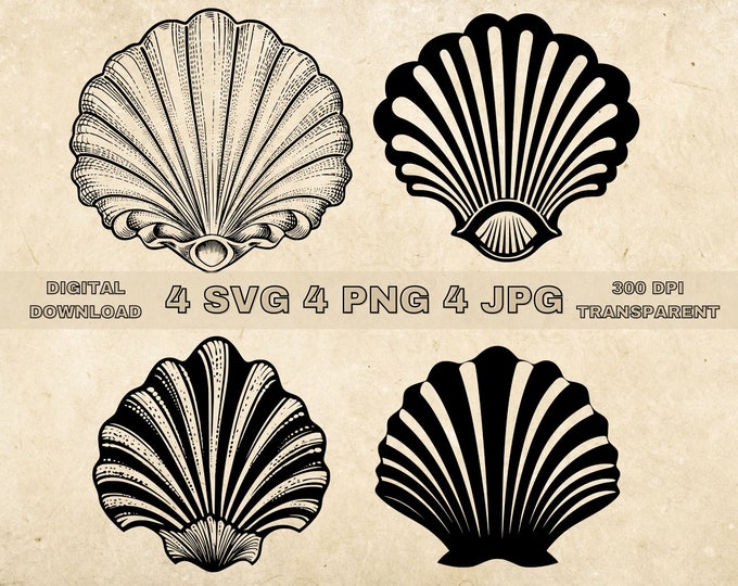 30 Hand-drawn Seashells SVG Clipart, Sea Shell Vector, Sublimation, Art ...