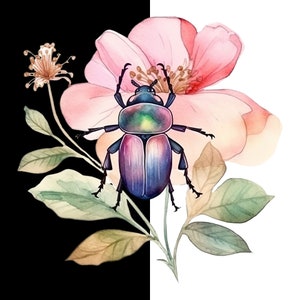 Cute Beetle Clipart, Watercolor Insects PNG Files, Bugs Clip Art ...