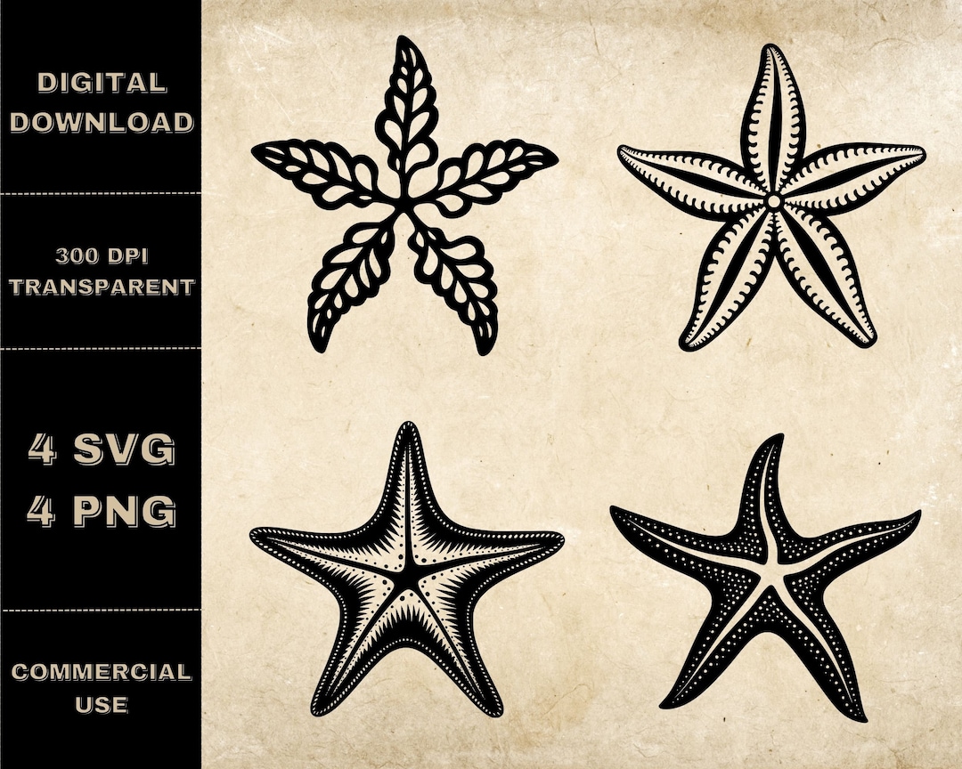 Starfish SVG Bundle, PNG, Star Fish Clipart, Hand Drawn Fishing Vector ...