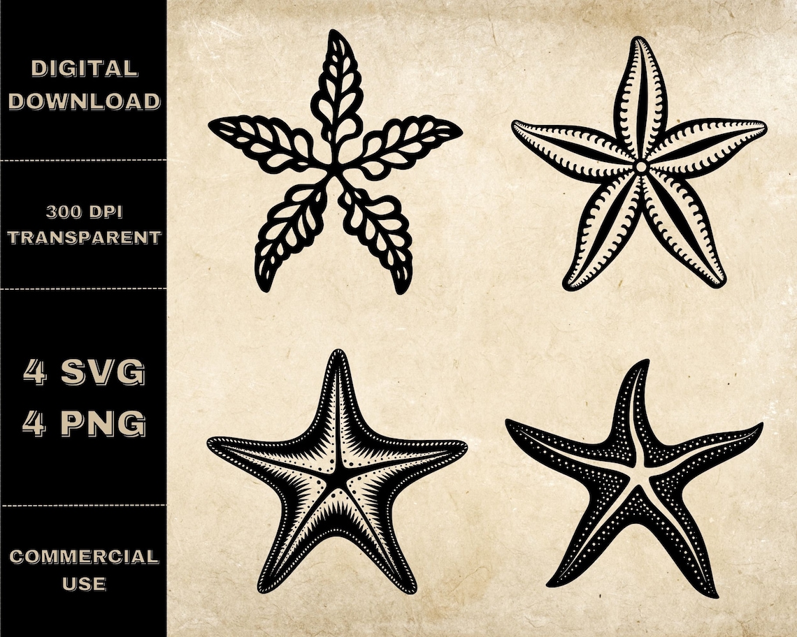 Starfish SVG Bundle PNG Star Fish Clipart Hand Drawn - Etsy