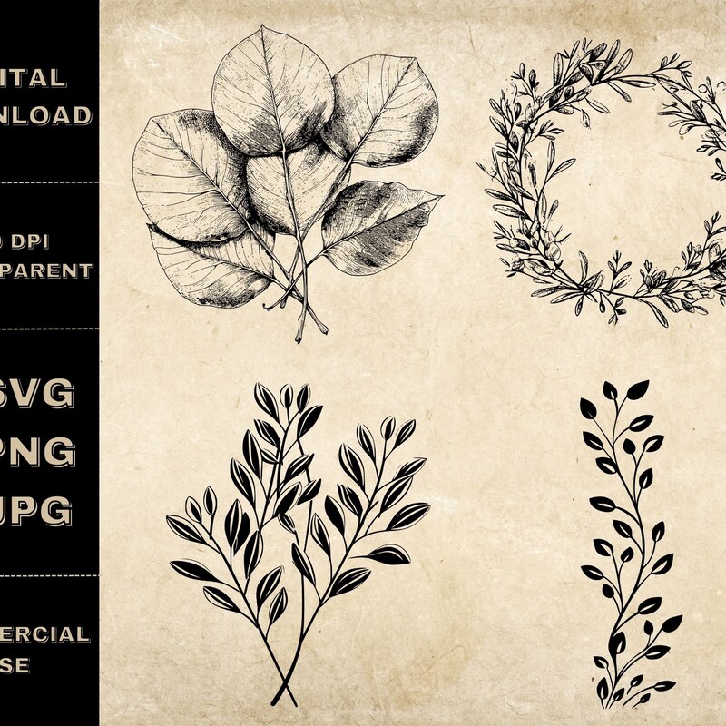 Eucalyptus Svg - Etsy