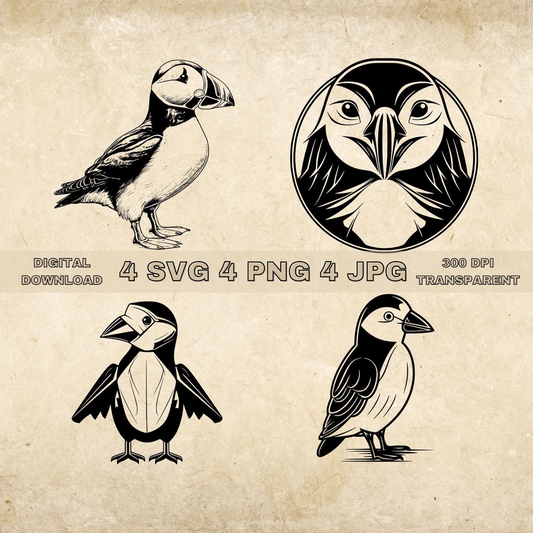 Puffin SVG Bundle, PNG, Puffin Clipart, Hand Drawn Puffins Graphic ...