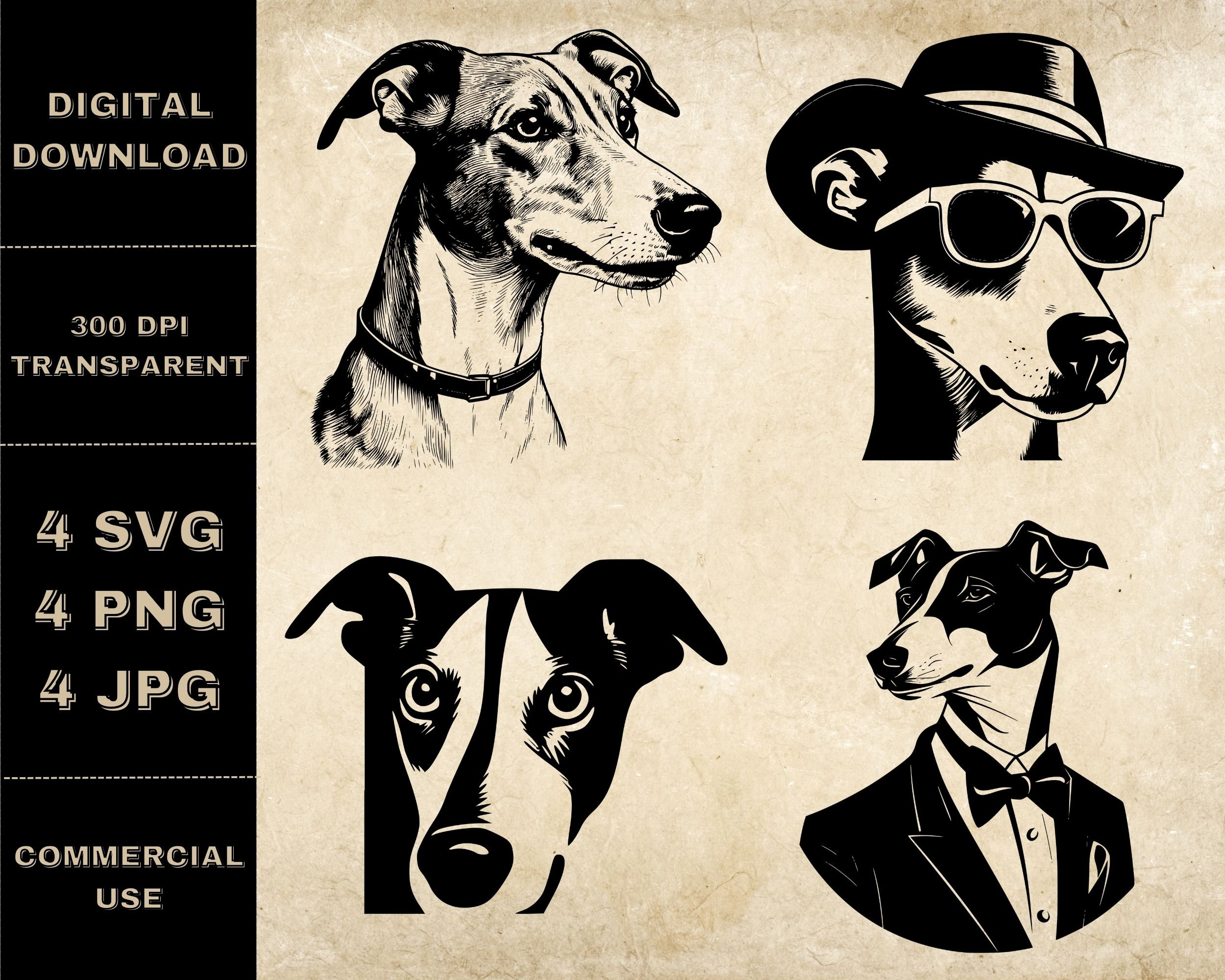 Greyhound SVG Bundle, PNG, Funny Dogs Clipart, Hand Drawn Dog Vector ...