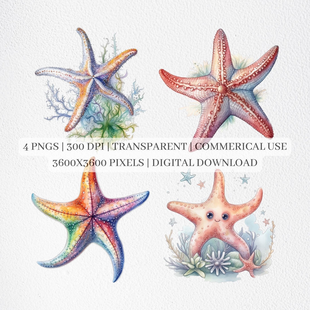 Starfish Clipart, Watercolor Ocean PNG Files for Sublimation, Nautical ...