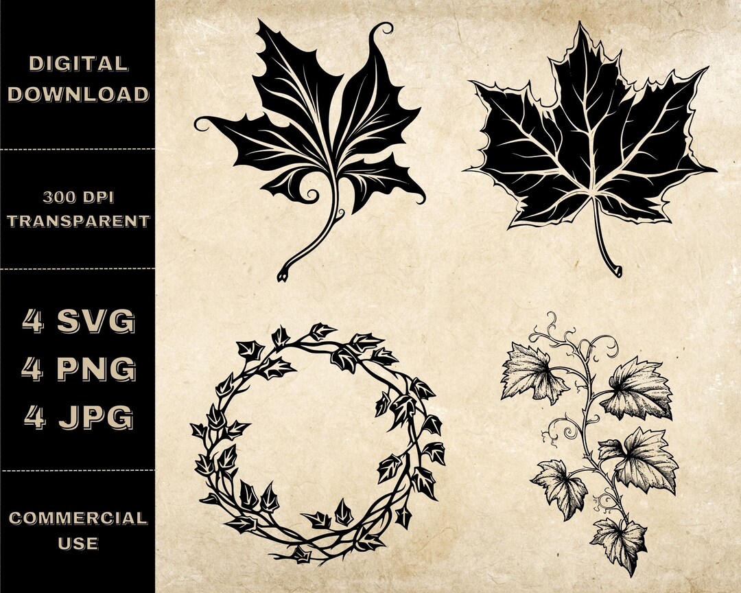 Ivy SVG Bundle, PNG, Ivy Leaf Clipart, Hand Drawn Leaves Wreath Vector ...