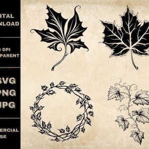 Ivy SVG Bundle, PNG, Ivy Leaf Clipart, Hand Drawn Leaves Wreath Vector ...