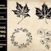 Ivy SVG Bundle, PNG, Ivy Leaf Clipart, Hand Drawn Leaves Wreath Vector ...