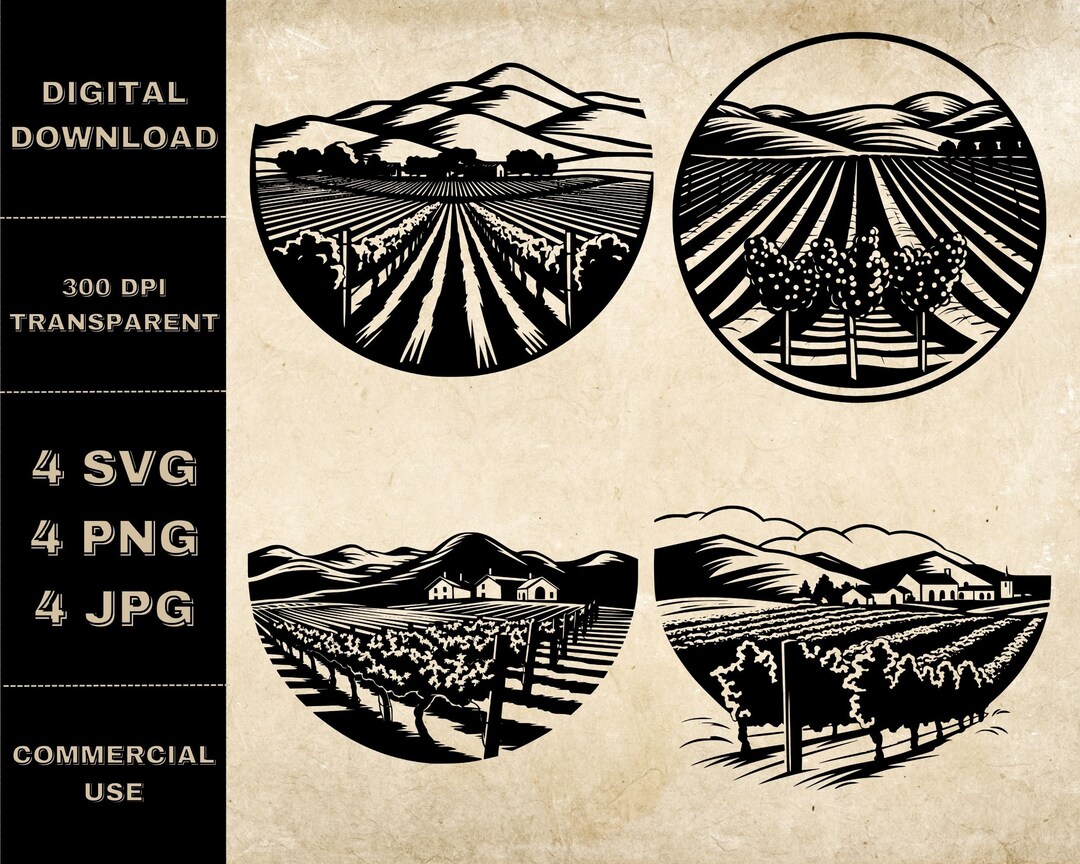 Vineyard SVG Bundle, PNG, Grapevine Clipart, Hand Drawn Vineyard Vector ...