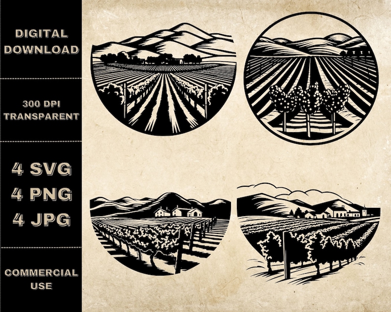 Vineyard SVG Bundle PNG Grapevine Clipart Hand Drawn - Etsy