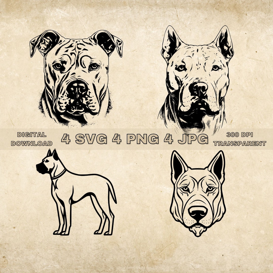 Dogo Argentino SVG Bundle, PNG, Dogo Argentino Clipart, Hand Drawn Dog ...