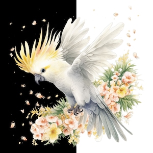 Cockatiel Clipart, Cockatiel PNG, Cute Birds Clip Art for Nursery Decor ...