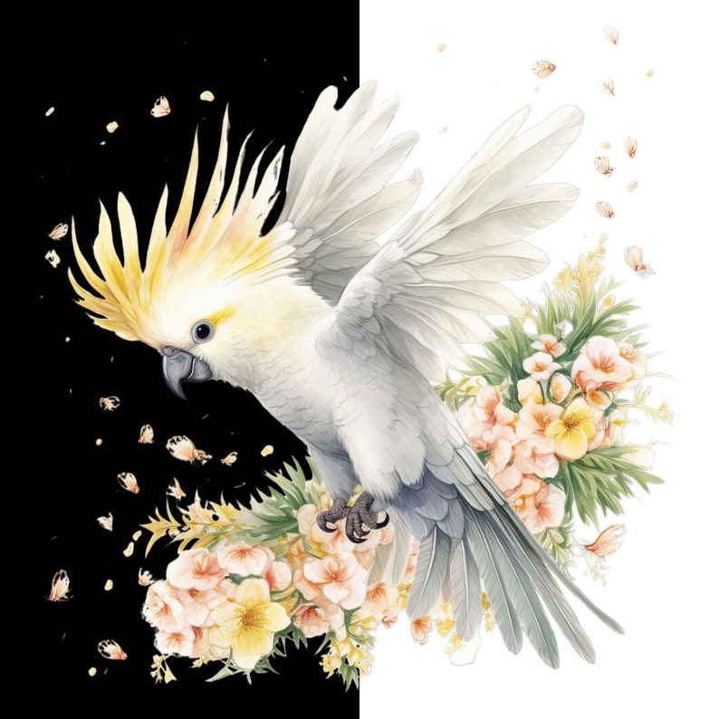 Cockatiel Clipart Cockatiel PNG Cute Birds Clip Art for - Etsy