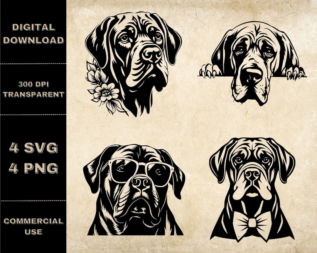 Mastiff SVG Bundle, PNG, Cute Dog Clipart, Hand Drawn Dogs Vector ...