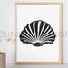 Clam SVG Bundle, PNG, Seashell Clipart, Hand Drawn Sea Shell Vector ...