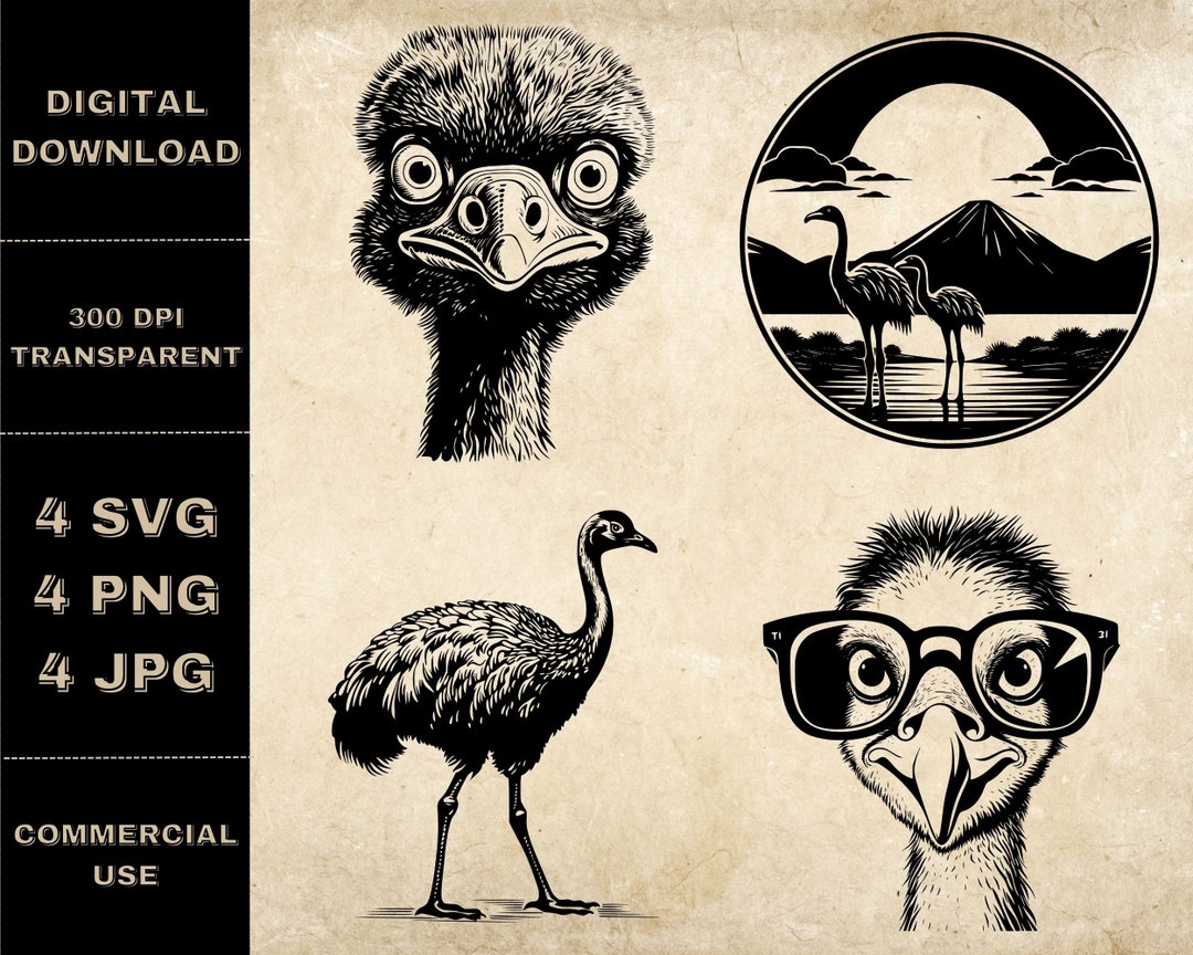 Ostrich SVG Bundle, PNG, Ostrich Clipart, Hand Drawn Ostrich Vector ...