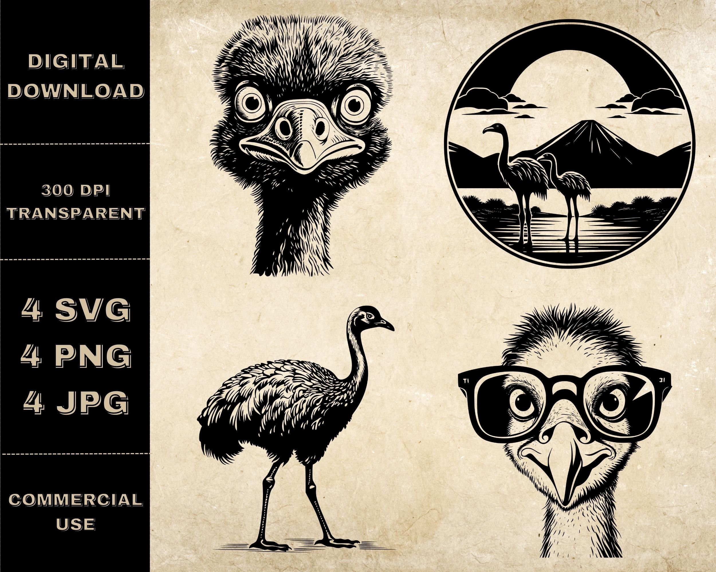 Ostrich SVG Bundle PNG Ostrich Clipart Hand Drawn Ostrich - Etsy