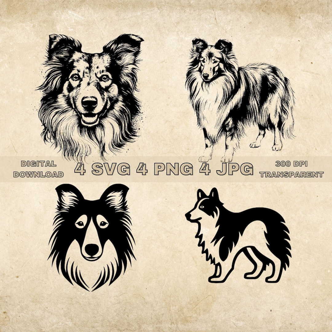 Shetland Sheepdog SVG Bundle, PNG, Dogs Clipart, Hand Drawn Dog Vector ...