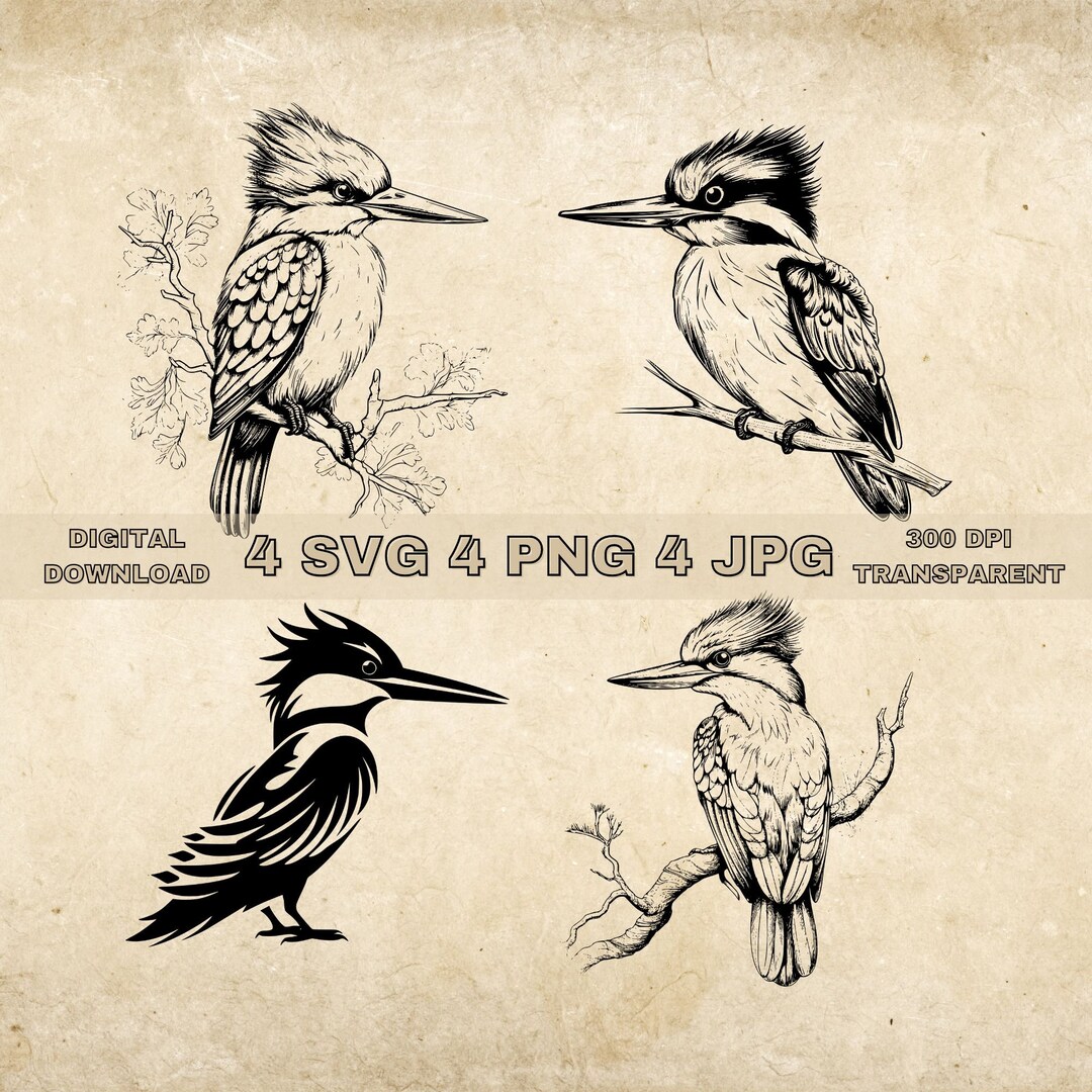 Kingfisher SVG Bundle, PNG, Birds Clipart, Hand Drawn Bird Vector ...