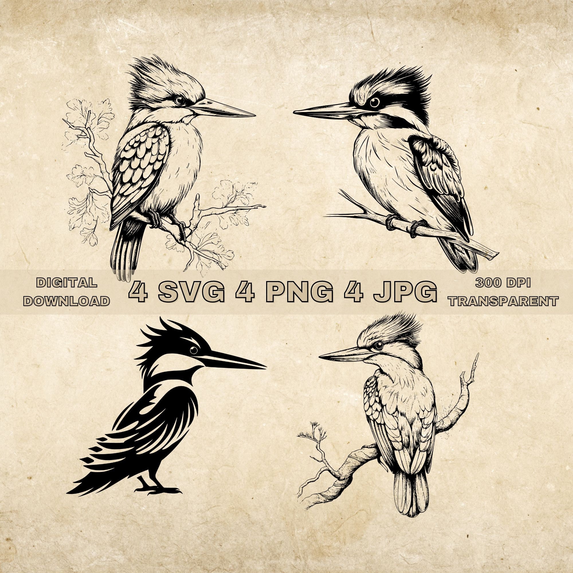 Kingfisher SVG Bundle, PNG, Birds Clipart, Hand Drawn Bird Vector ...