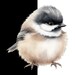 Chickadee Clipart, Chickadee PNG, Cute Birds Clip Art, Nursery Decor ...
