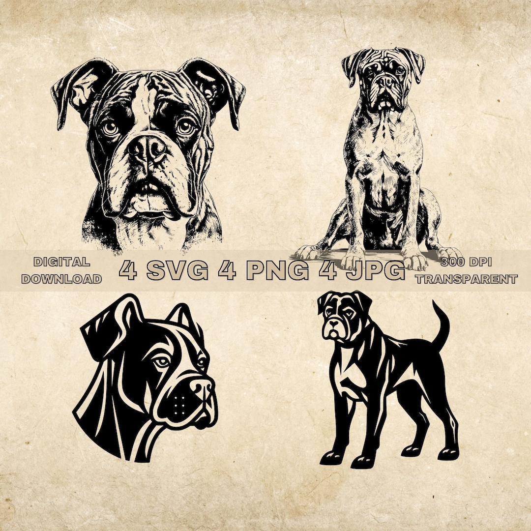 Boxer Dog SVG Bundle, PNG, Cute Dogs Clipart, Hand Drawn Dog Vector ...