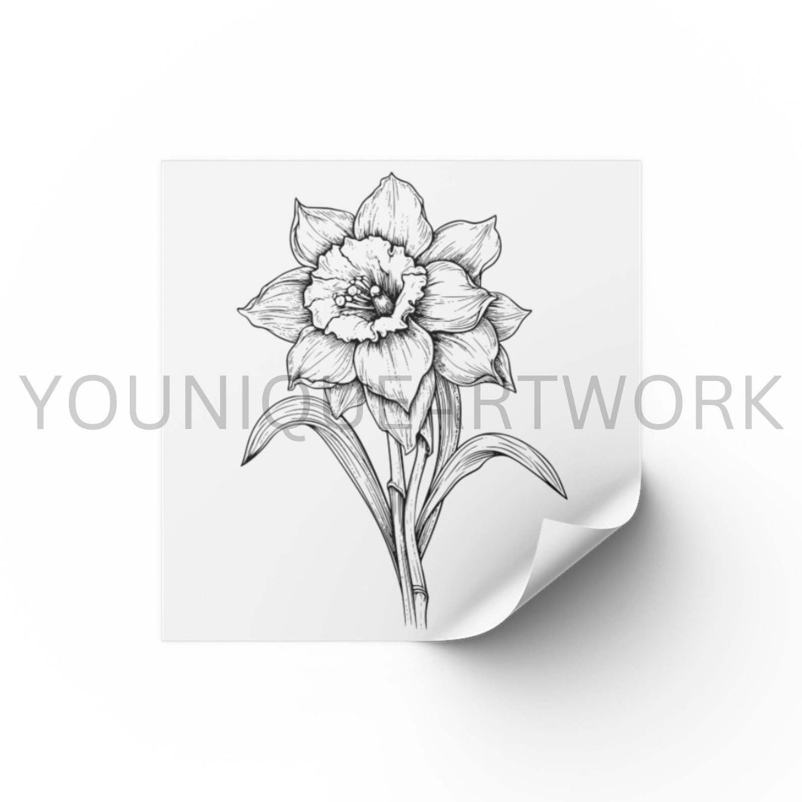 Narcissus SVG Bundle, PNG, Floral Clipart, Hand Drawn Flowers Graphic ...