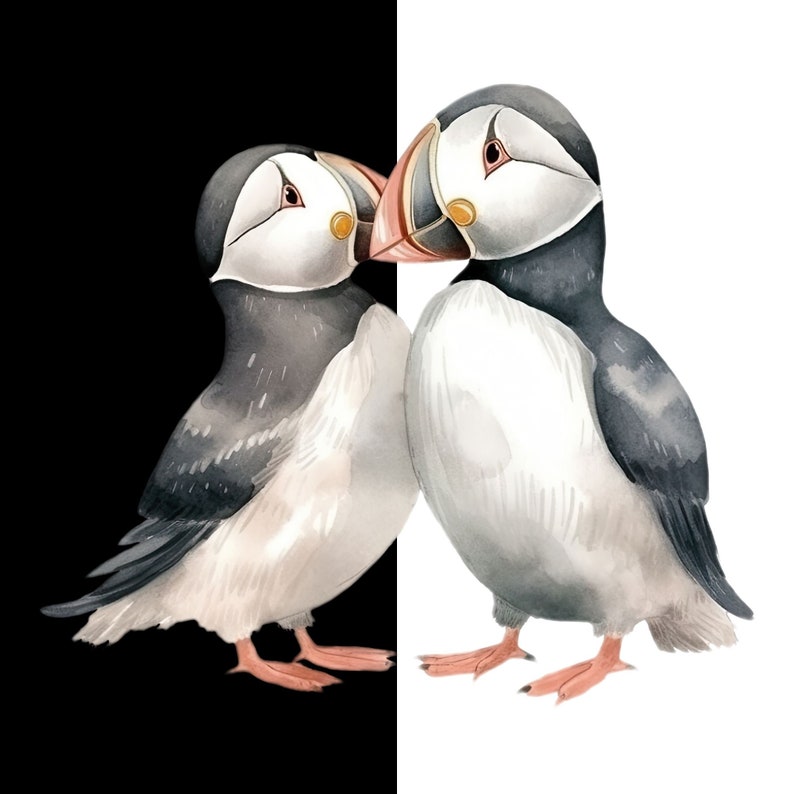 Cute Puffin Clipart Puffin PNG Files for Sublimation - Etsy Australia