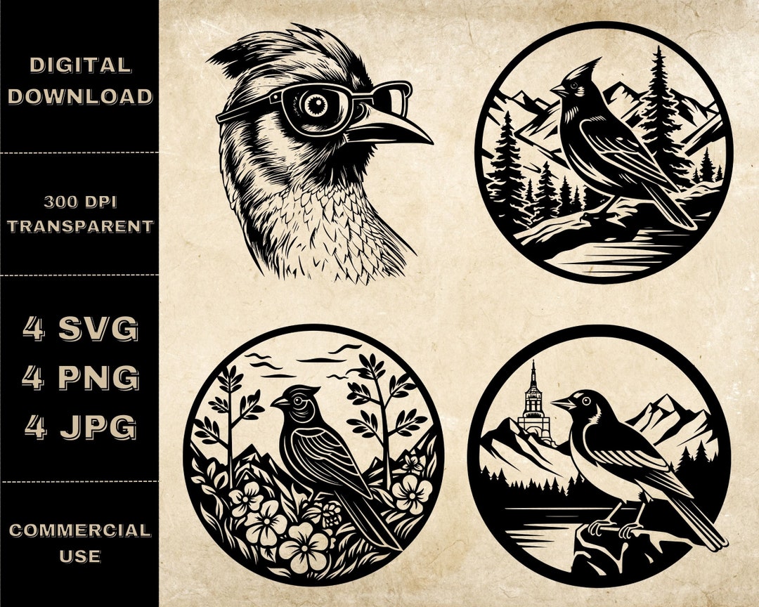 Cardinal Bird SVG Bundle, PNG, Floral Birds Clipart, Hand Drawn Bird ...