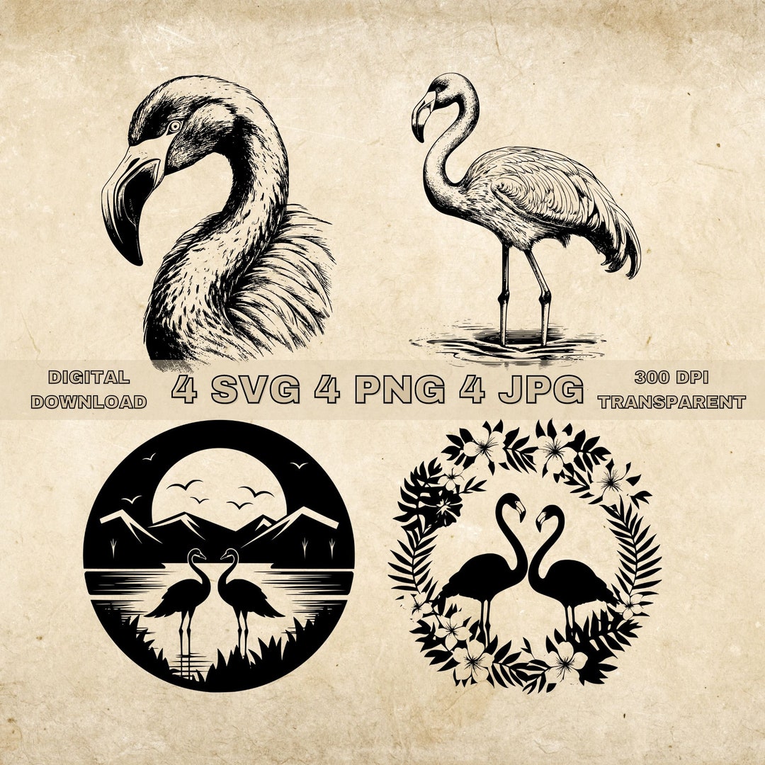 Flamingo SVG Bundle, PNG, Flamingo Clipart, Hand Drawn Flamingos Vector ...