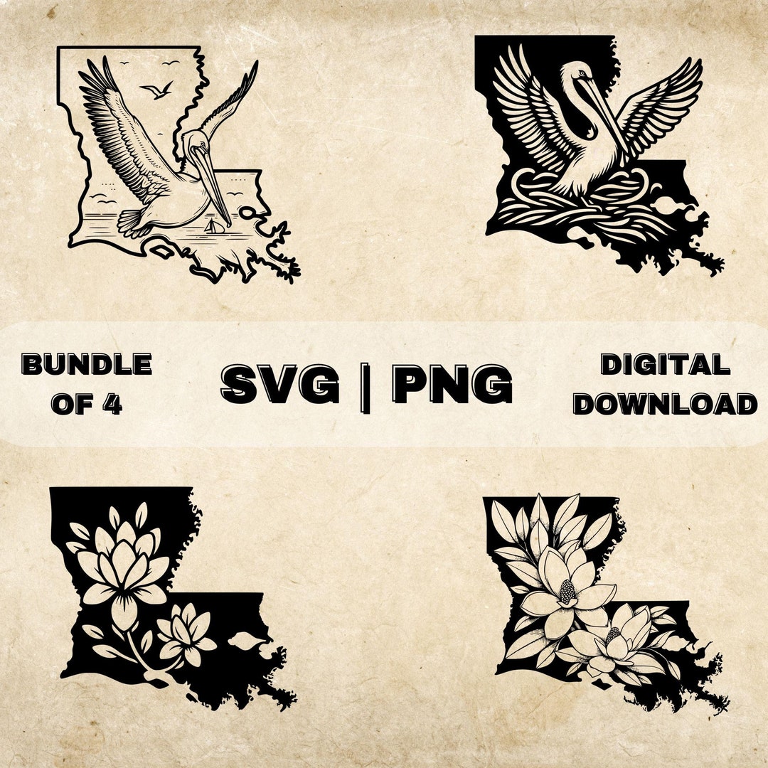 Louisiana State SVG Bundle, Louisiana Clipart, Hand Drawn Pelican ...