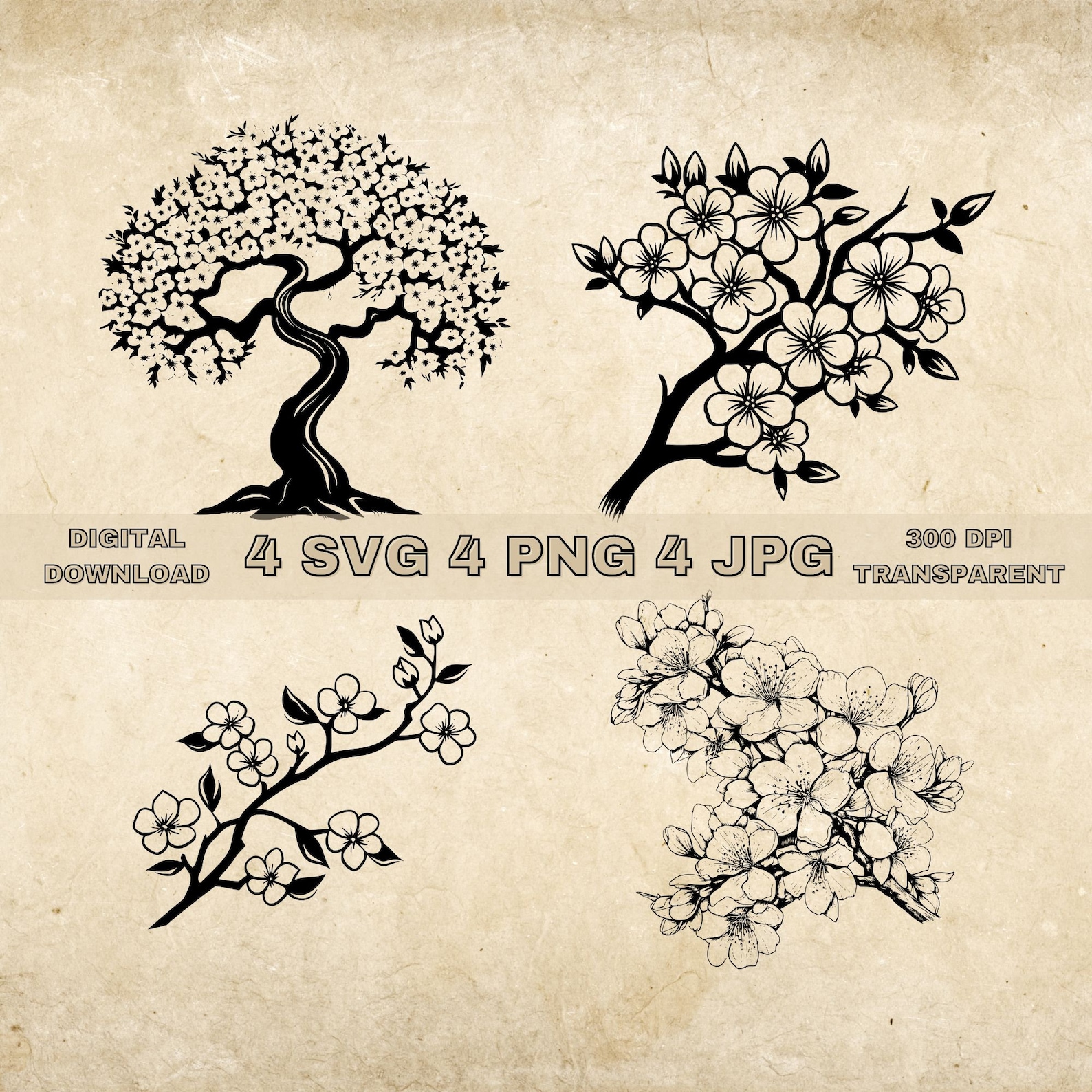 Cherry Blossom SVG Bundle, PNG, Sakura Clipart, Hand Drawn Tree Graphic ...