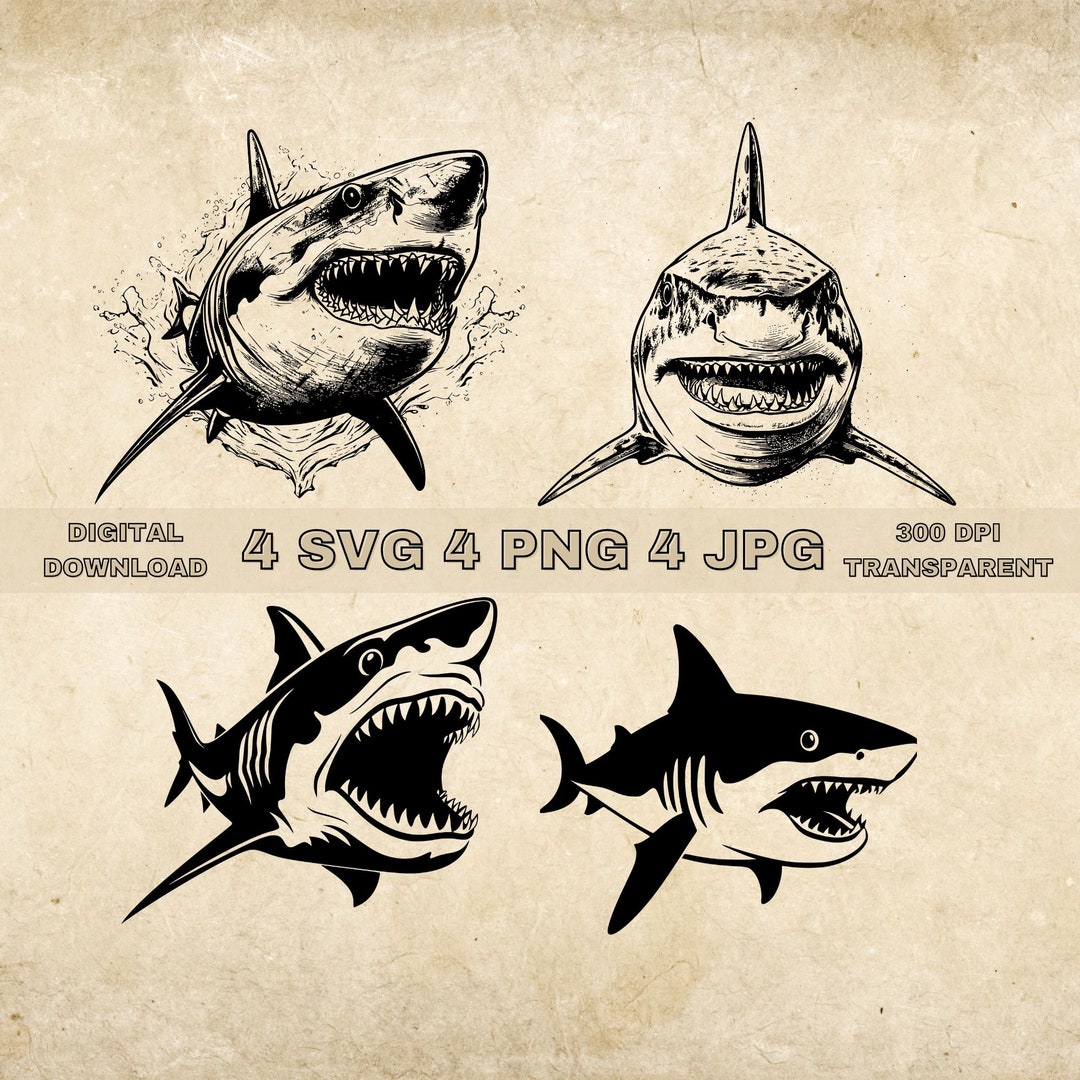 Shark SVG Bundle, PNG, Sea Animal Clipart, Hand Drawn Sharks Vector ...