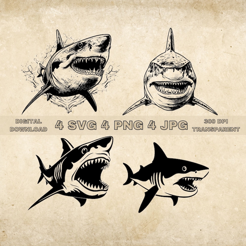 Shark SVG Bundle PNG Sea Animal Clipart Hand Drawn Sharks - Etsy