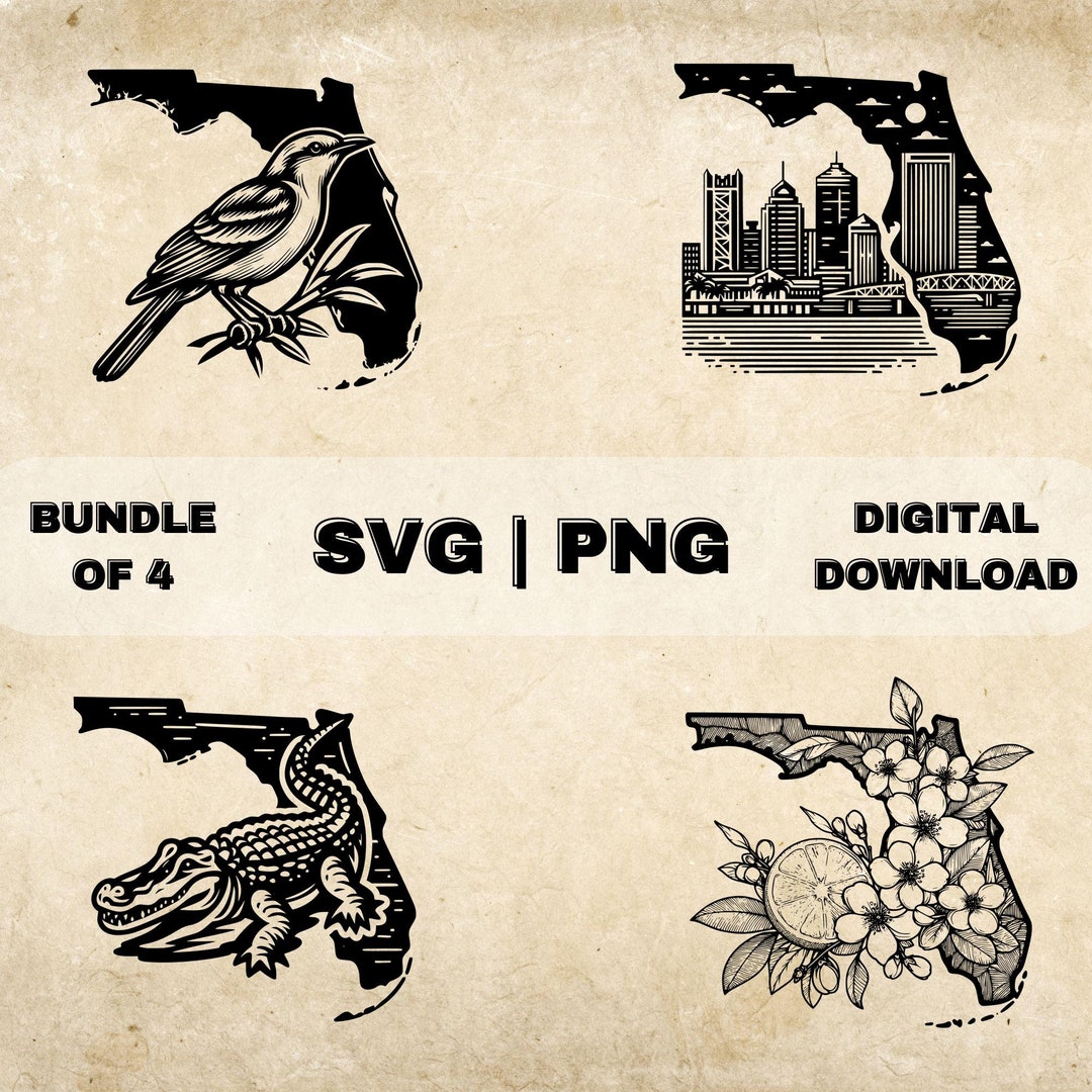 Florida State SVG Bundle, Florida Clipart, Hand Drawn Alligator, Bird ...