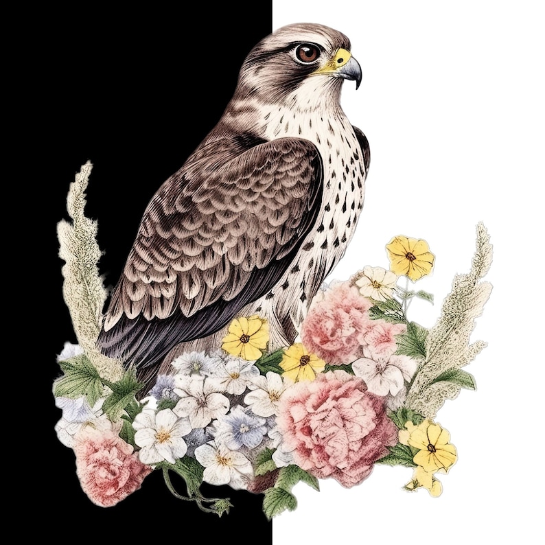 Floral Falcon Clipart, Falcon PNG Files for Sublimation, Falcons Clip ...