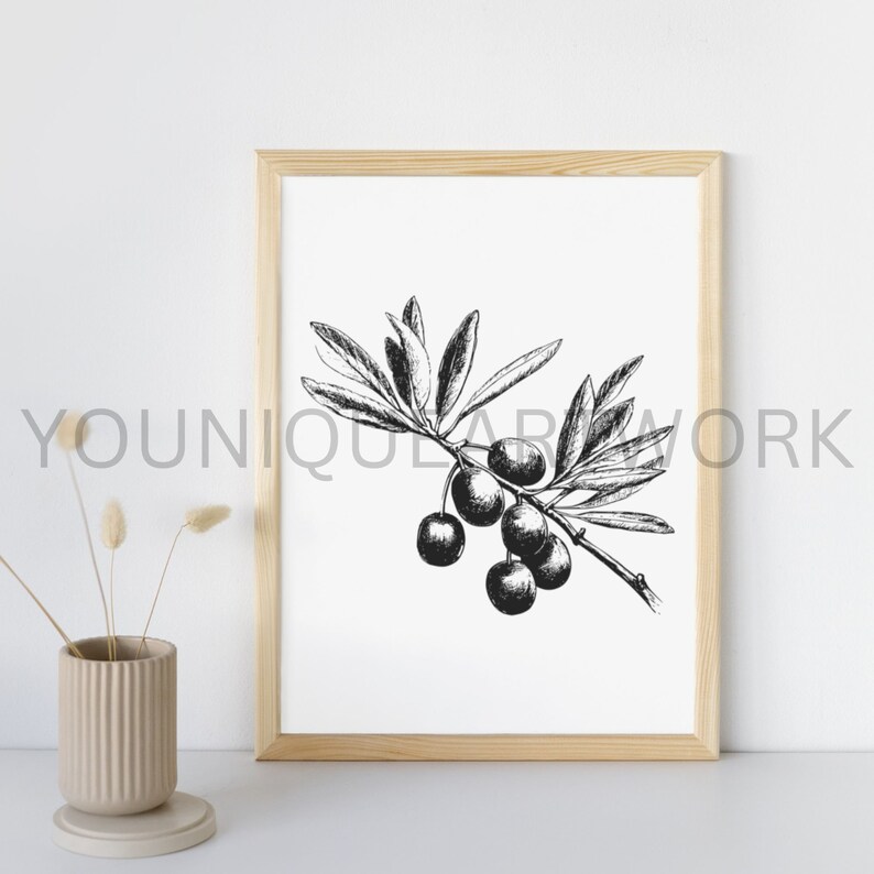 Olive SVG Bundle, PNG, Olive Branch and Tree Clipart, Hand Drawn Olives ...