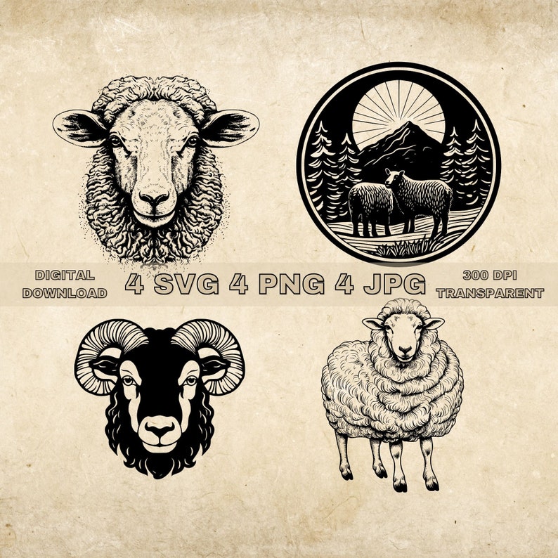 Sheep SVG Bundle, PNG, Sheep Clipart, Hand Drawn Farm Animal Vector ...