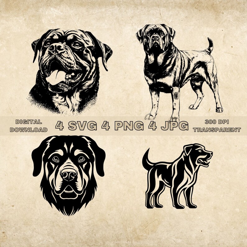 Rottweiler SVG Bundle PNG Dogs Clipart Hand Drawn Dog - Etsy