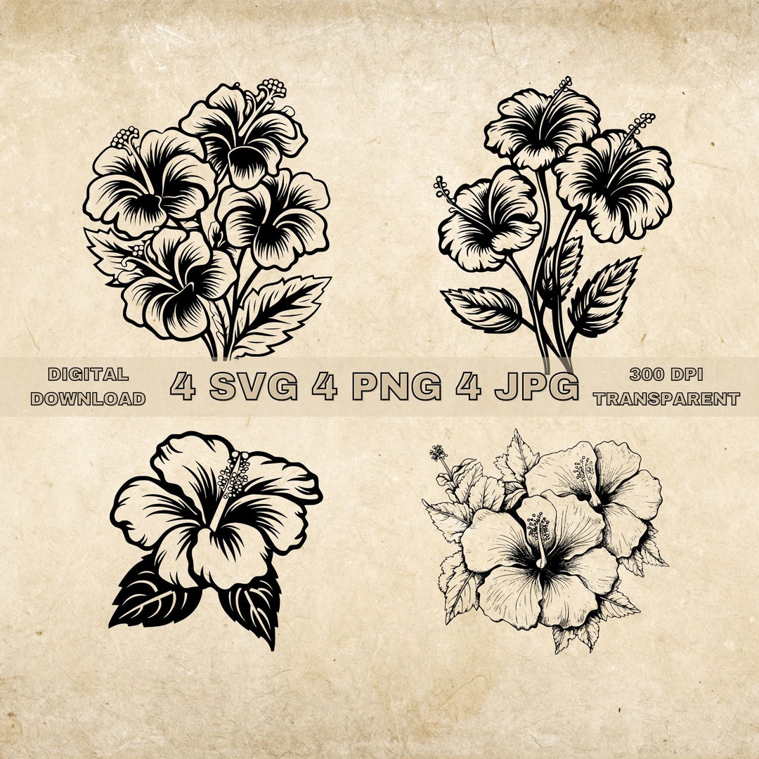 Hibiscus Flower SVG Bundle, PNG, Flowers Clipart, Hand Drawn Hibiscus ...