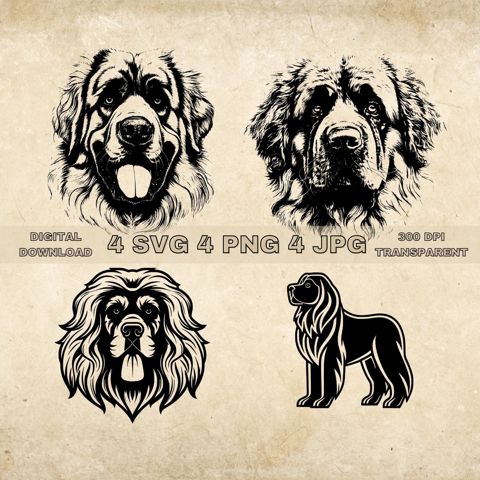 Leonberger SVG Bundle, PNG, Dogs Clipart, Hand Drawn Dog Vector ...