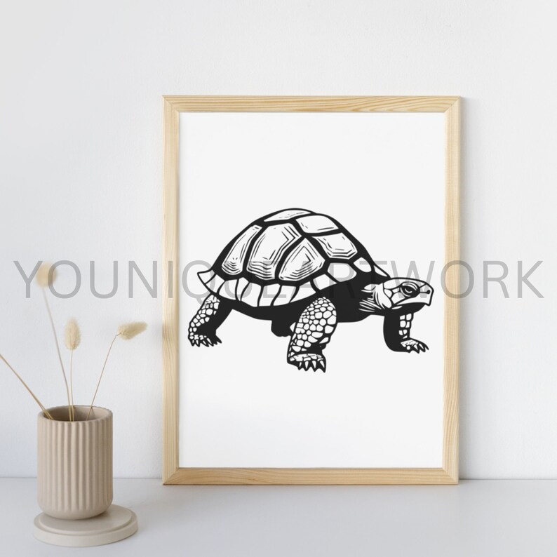 Tortoise SVG Bundle, PNG, Tortoise Clipart, Hand Drawn Tortoise Vector ...