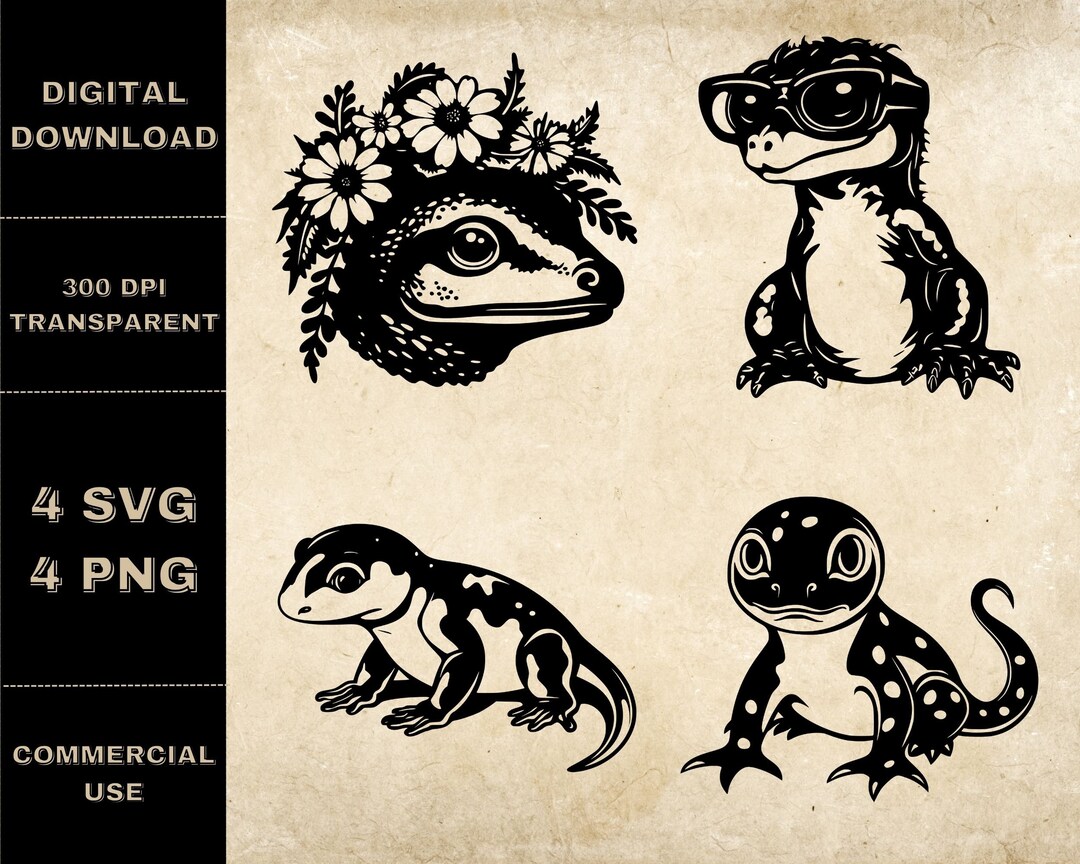 Salamander SVG Bundle, PNG, Reptile Clipart, Hand Drawn Lizard Vector ...