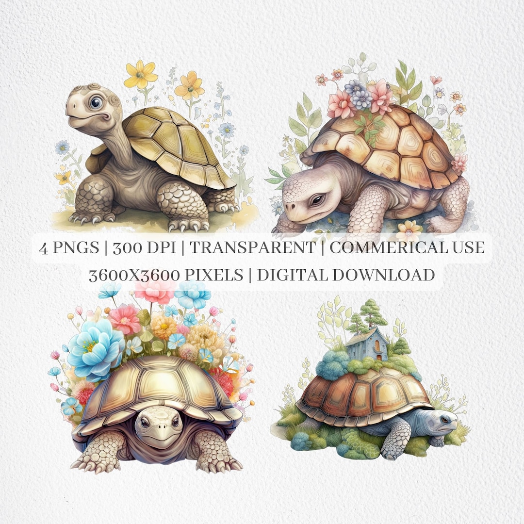 Tortoise Clipart, Tortoise PNG Files for Sublimation, Floral Tortoise ...