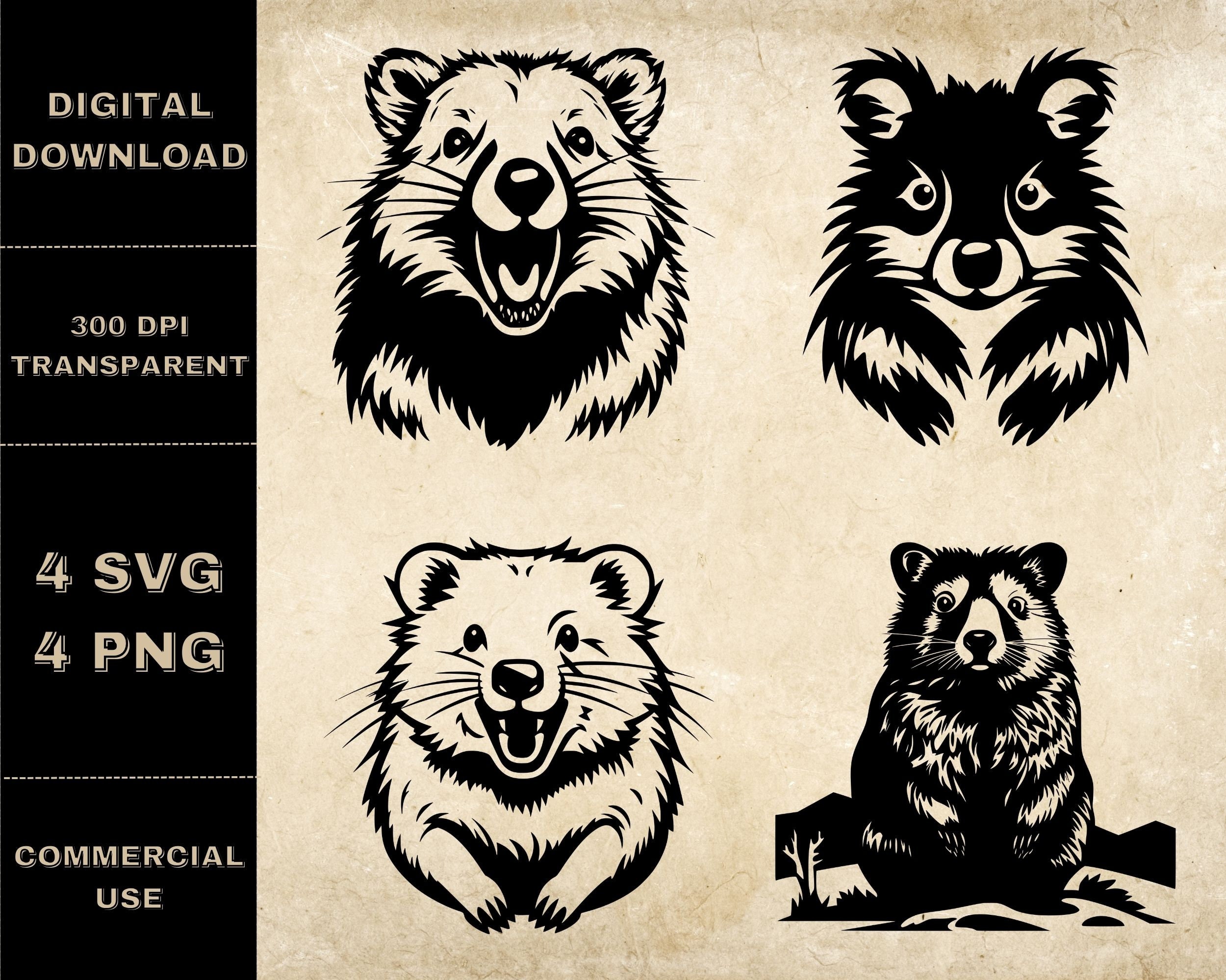 Quokka SVG Bundle, PNG, Cute Animal Clipart, Hand Drawn Australian ...