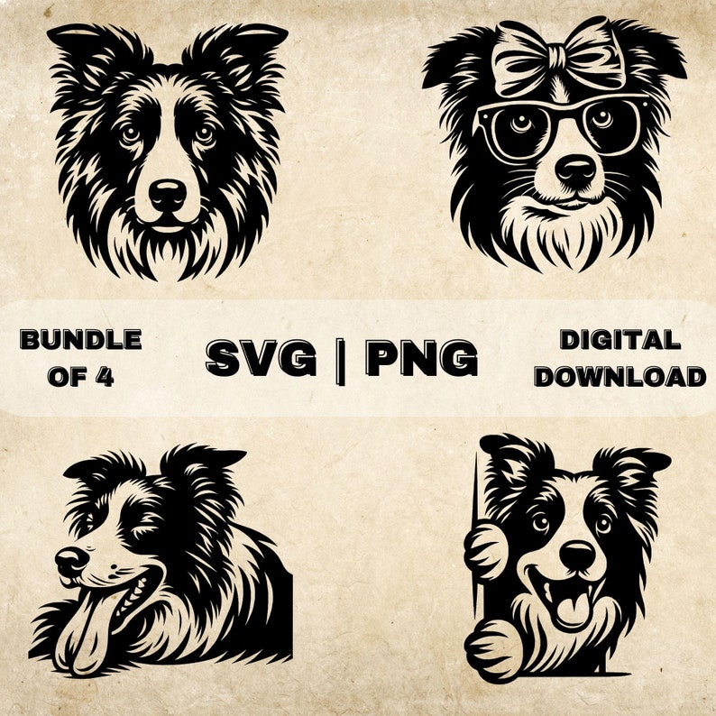 Border Collie SVG Bundle, Border Collie Clipart, Hand Drawn Dogs Theme ...