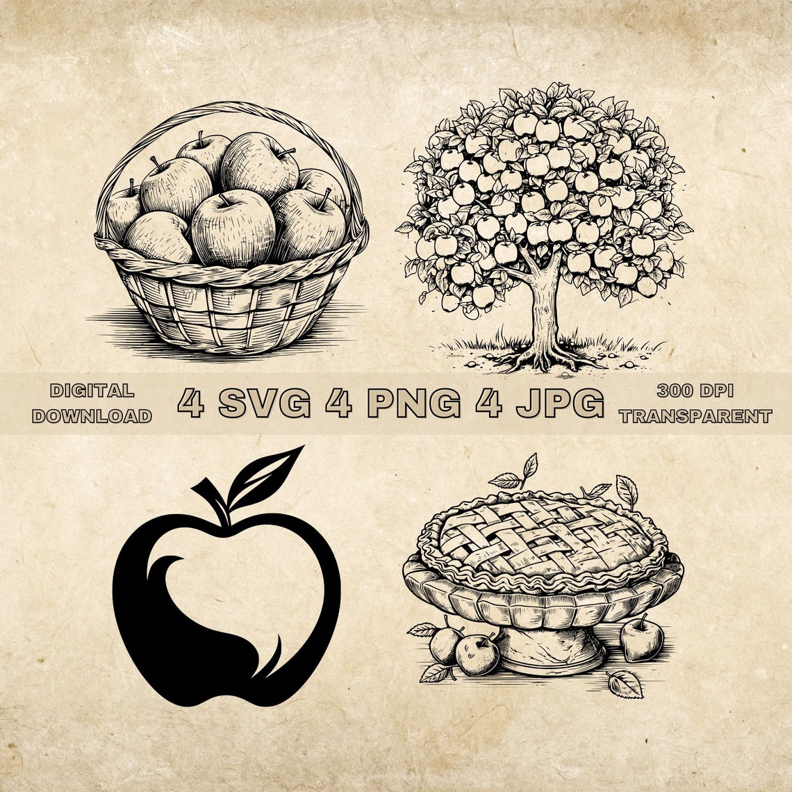 Apple SVG Bundle PNG Apples Clipart Hand Drawn Apple Tree - Etsy