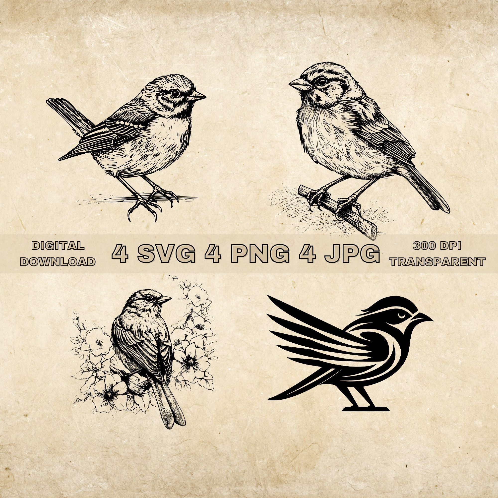 Sparrow SVG Bundle, PNG, Cute Birds Clipart, Hand Drawn Sparrows Vector ...